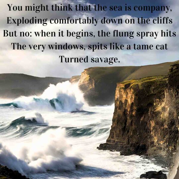Storm on the Island by Seamus Heaney - ThinkLit